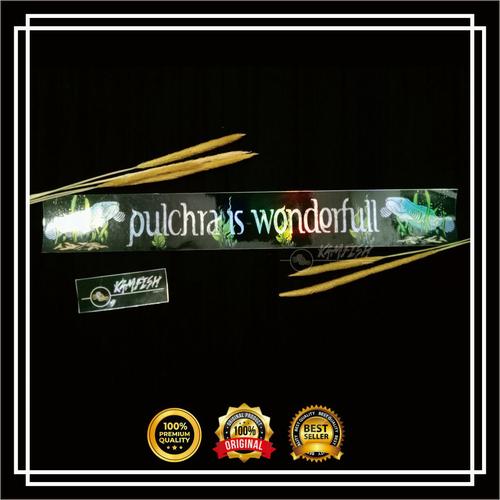 Jual STICKER AQUARIUM IKAN PREDATOR CHANA AESTHETIC / STICKER AQUARIUM ...