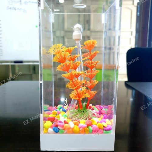 Promo EZ Fun Fish Tank 10x13x20 (2,6L) Aquarium Cupang Betta Soliter ...
