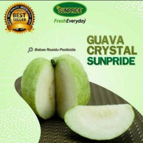 Jual Jambu Crystal sunpride guava segar 1kg - Jakarta Barat - mochyu ...