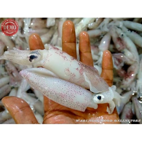 Jual Baby Cumi Sero Segar Cumi Segar Fresh Bergaransi 1Kg - Jakarta ...
