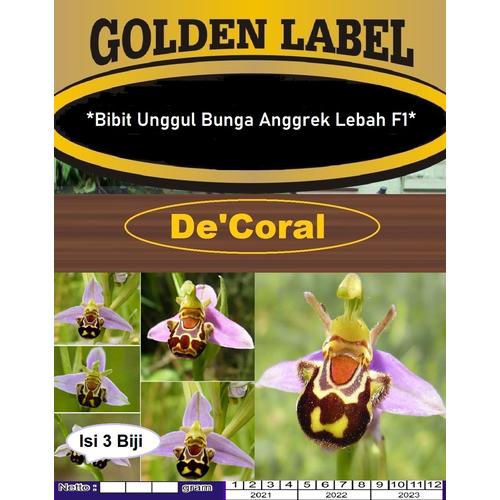 Jual Bibit Bunga Anggrek Lebah F1 Anggrek Langka |Benih Bunga Anggrek ...
