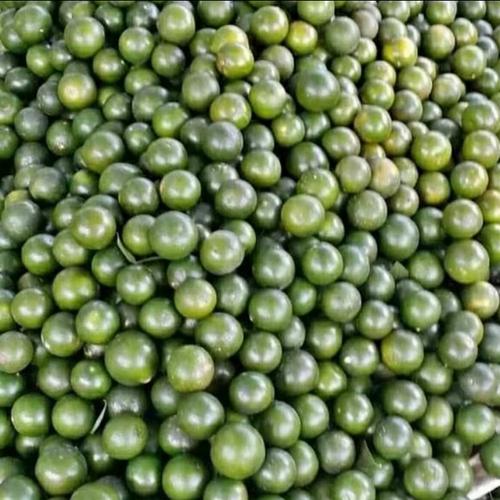 Jual Buah jeruk songkit atau lemon Cui atau kalamansi 10kg - Jakarta ...