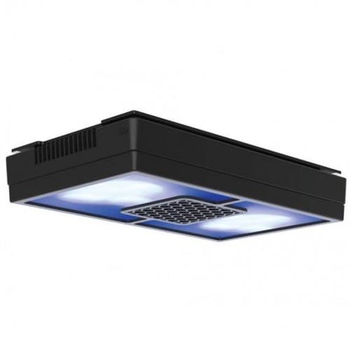 Jual RADION Diffuser XR30 - Jakarta Barat - IndoAqua Shop | Tokopedia