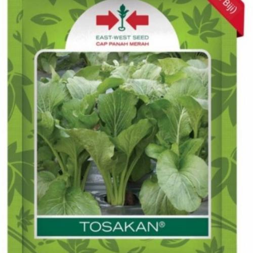 Jual Benih Bibit Sawi Tosakan Caisim Manis Sosin Cap Panah Merah 25 gr ...