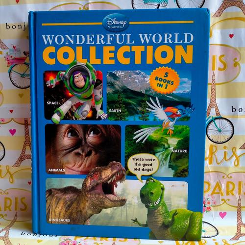 Jual Walt Disney Wonderful World Collection - 5 Books In 1 - Jakarta ...