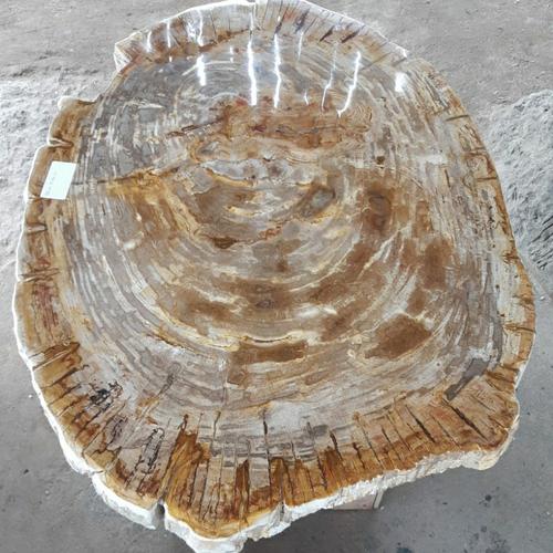 Jual Daun meja batu fosil - Kab. Tulungagung - Kesna Stone | Tokopedia