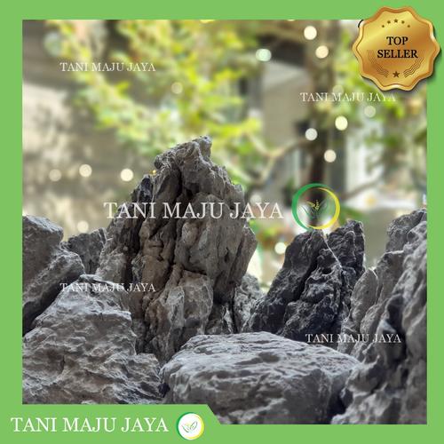 Jual Batu Seiryu / Siryu Gray Import Asli Hardscape Aquascape Iwagumi ...