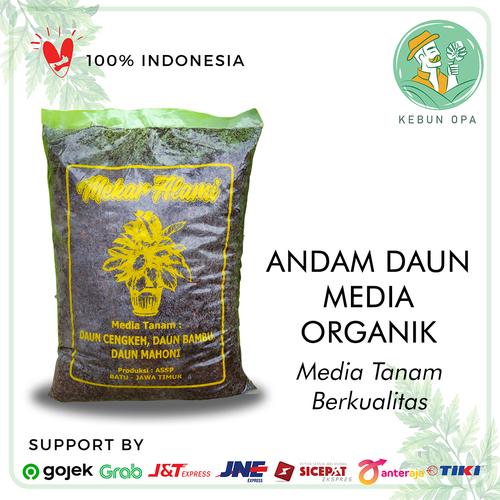 Jual Media Tanam Andam daun / Kompos organik Hutan bambu mahoni per ...