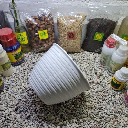 Jual POT Bunga 21 Budi Jaya Tanaman Hias Hitam Merah Putih Tawon Asli ...
