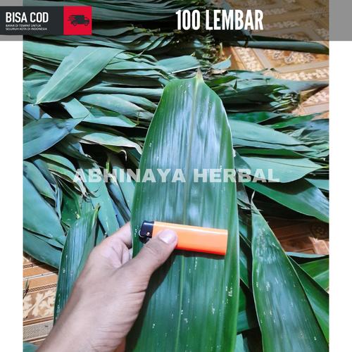 Jual 100 Lembar daun Bacang/Bakcang - Daun bambu bungkus bacang segar ...