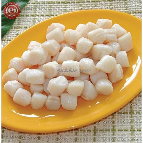 Jual Kerang Simping Scallop Seafood Kerang Segar Daging Kerang Simping ...