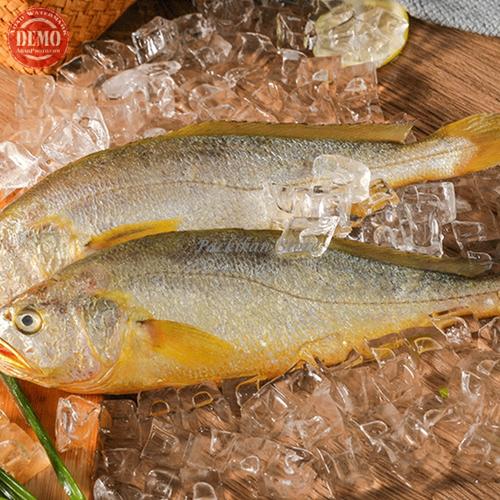 Jual Ikan Samge Segar Ikan Segar Samgeh Ikan Fresh Laut GARANSI SEGAR ...