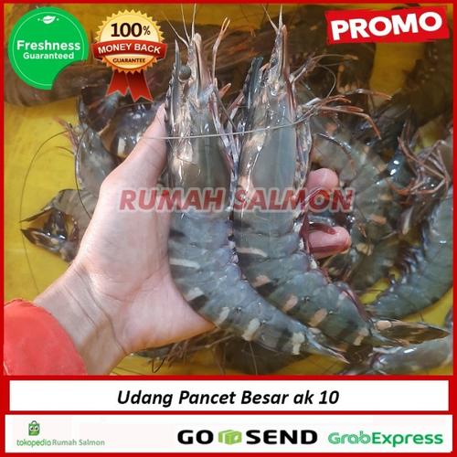 Jual Udang Tiger Pancet Jumbo 1 kg Size Super 10-13 / Windu Besar Segar ...