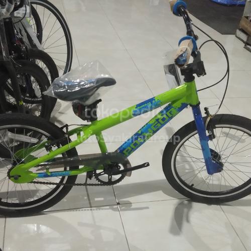 Jual Sepeda Anak 20 Inch Polygon Travis - Green - Kab. Ponorogo ...