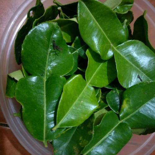 Jual Daun jeruk 100 gram - Jakarta Pusat - LarisAutomotif | Tokopedia