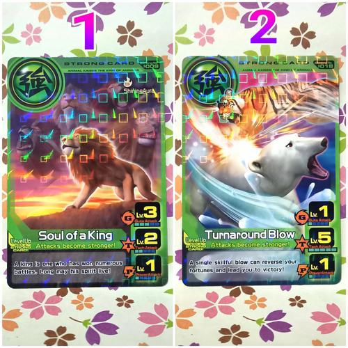 Jual animal kaiser normal the best strong card satuan versi 3 - Kota ...