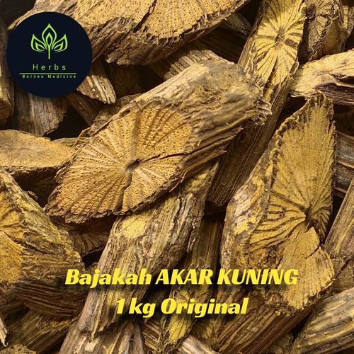 Jual BAJAKAH akar bajaka-akar Bajakah-kayu Bajakah [AKAR KUNING] 1KG ...