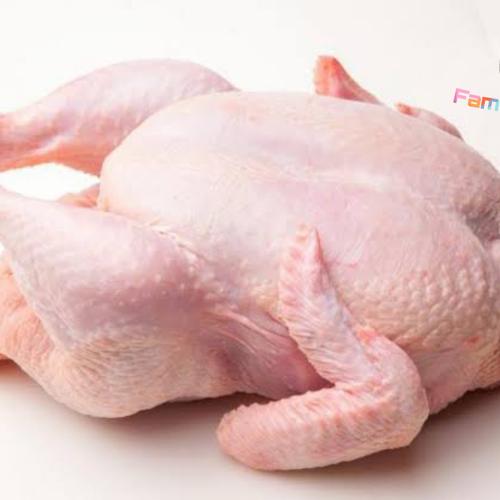 Jual daging ayam broiler segar - Karkas ayam Best Chicken utuh beku ...