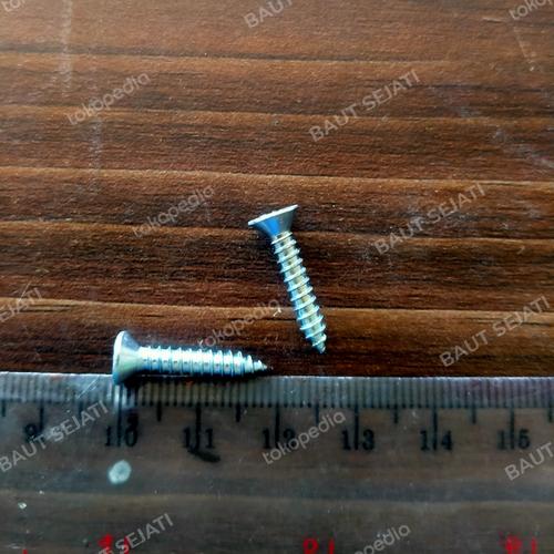 Jual SEKRUP FH 6X3/4 2CM ISI 10 PCS/ BAUT TAPPING JF KEPALA BULAT RATA ...
