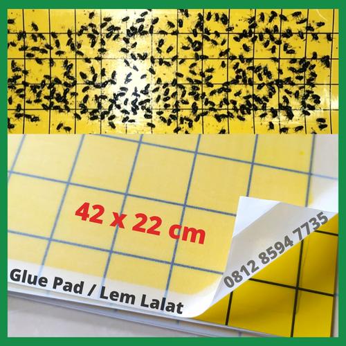 Promo Lem Lalat Glue Pad Glue Board Fly Catcher Ukuran 42x22 Cm Kab Bekasi Arthomoro