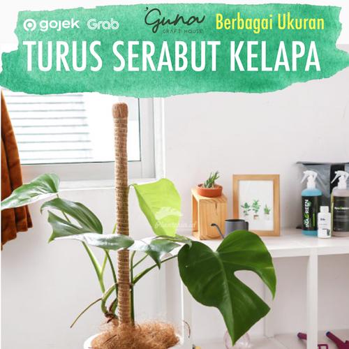 Jual Turus Tanaman Rambat 100cm Serabut Kelapa Murah - Penyangga Tanaman - 35 cm - Kota Bandung ...