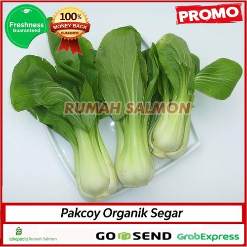 Jual Pakcoy Organik Super Segar 1 kg- Sawi Pakcoy - 1 kg - Jakarta ...