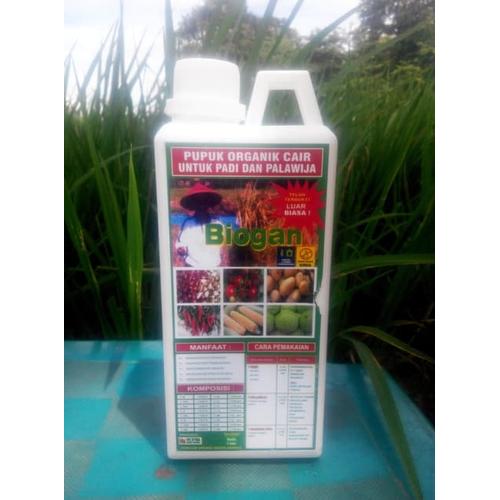 Jual Pupuk Organik Cair (POC) BIOGAN UNTUK PADI dan PALAWIJA - Kota ...