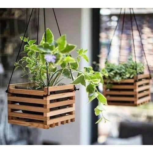 Jual POT ANGGREK KAYU 10 cm 15 cm pot anggrek vanda gantung tanaman ...