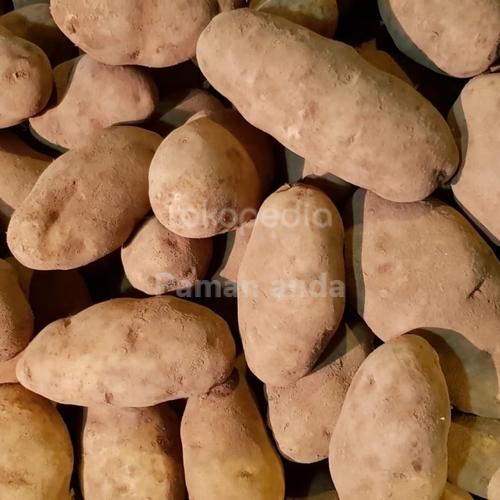 Jual Kentang Dieng Super - 500 Gram - Jakarta Timur - Paman anda ...