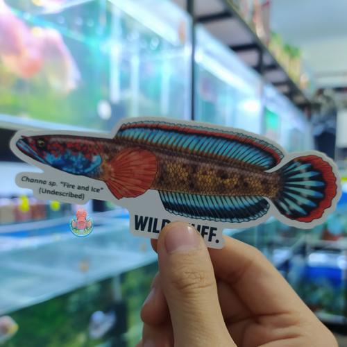 Jual Sticker CHANNA FIRE AND ICE Wild Stuff - Kota Jambi - WWseries ...