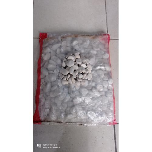 Jual BATU KORAL PUTIH HIASAN TAMAN AQUASCAPE - Jakarta Timur ...