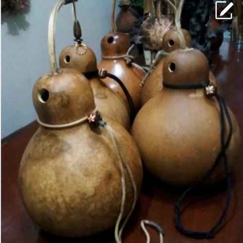 Jual Labu botol labu hias labu cina labu kendi - Kab. Pangandaran ...
