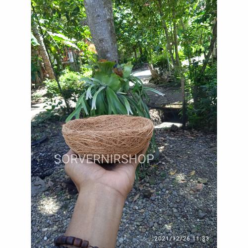 Jual Sarang serabut kelapa bulat susuh serat kelapa sarang susuh - Kab ...