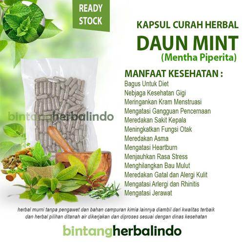 Jual DAUN MINT 100 Kapsul Curah Herbal Diet Jerawat Fungsi Otak Stres ...