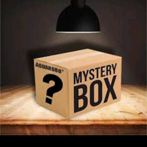Jual misteri box ikan Guppy - misteri box - Kota Depok - DadangGuppy ...