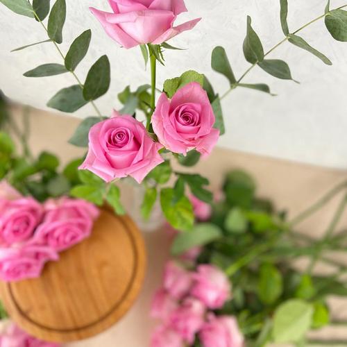 Jual Fresh Revival Pink Roses / Bunga Mawar Potong Segar Merah Muda ...