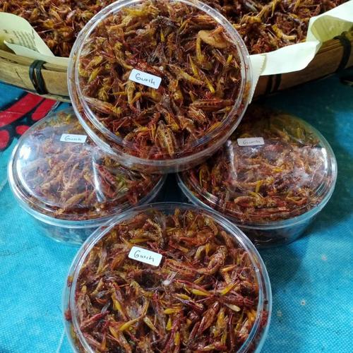 Jual cemilan belalang goreng/simeut goreng harga 25rb an aja - pedas ...