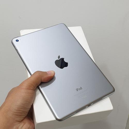 mini 4/128GB/359295062474484 pace