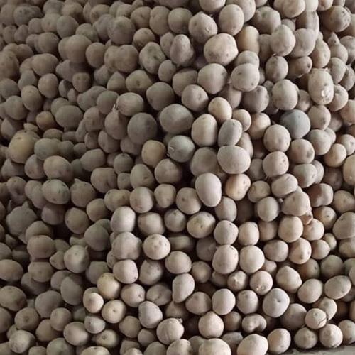 Jual Kentang baby / kentang rendang / baby potato - 500 gram - Jakarta ...