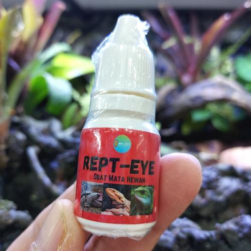 Jual Rept-Eye Obat tetes Mata Hewan Reptil Torto Sulcata Kura Brazil ...
