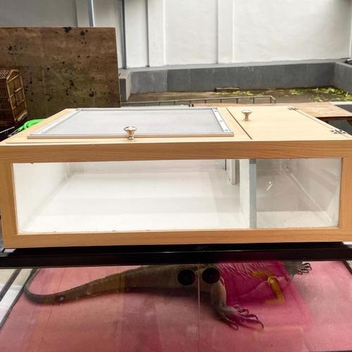 Jual Torto Table 60x40 Rekomendasi Bumi Reptile - Jakarta Barat ...