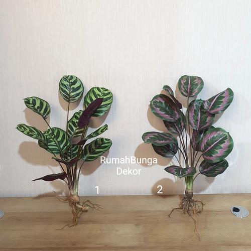 Jual Daun Calathea Artificial - Jakarta Barat - Rumah Bunga Dekor ...