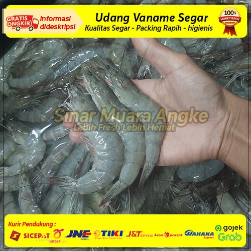 Jual Udang Tambak / Udang Vaname Segar 500 gr / Vannamei sz 40 Fresh ...