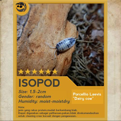 Jual kartu koleksi isopod 10 - isi 1 card - Kab. Kuningan - IsoPedia ...