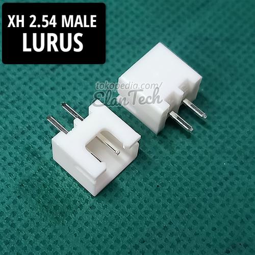 Jual Konektor XH2.54 2P Female Kabel AWG24 15cm Male Lurus Miring ...