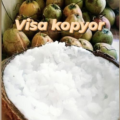 Jual KELAPA KOPYOR SUPER terjamin - Jakarta Utara - uliastar | Tokopedia