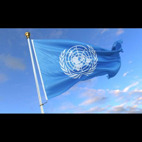 Jual Bendera PBB / United Nations flag - Kota Bekasi - Mummy Shoppe_NEW ...