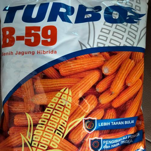 Jual Jagung Hibrida TURBO B-59 1kg - Kab. Kediri - BinaTaniSejahtera ...