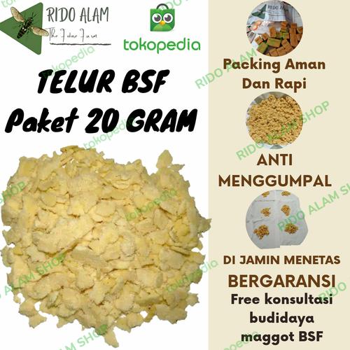 Promo telur maggot paket 20gr telur maggot bsf termurah telur lalat bsf ...