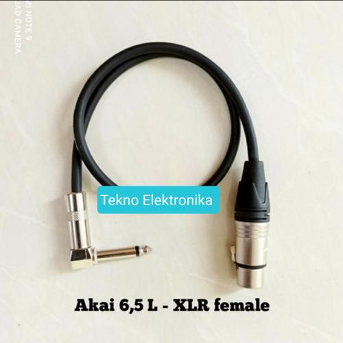 Jual Kabel audio canare jack gitar 1/4 TRS MONO MALE L to XLR Female ...